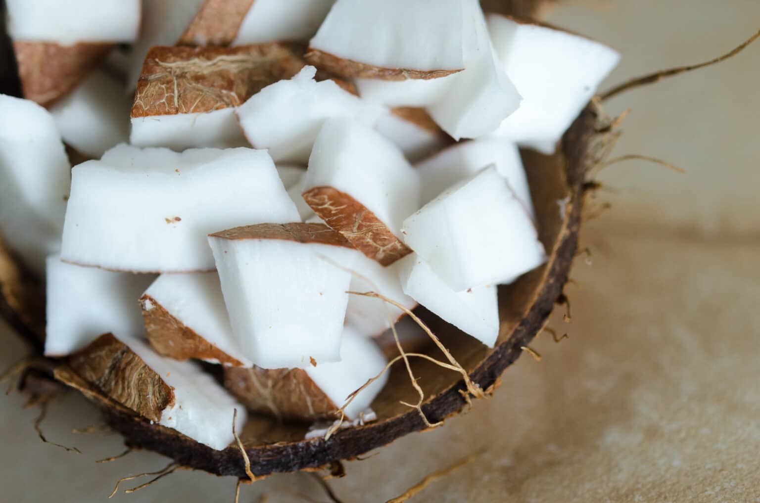 Can a Food Processor Grind Coconut? – My Budget Recipes