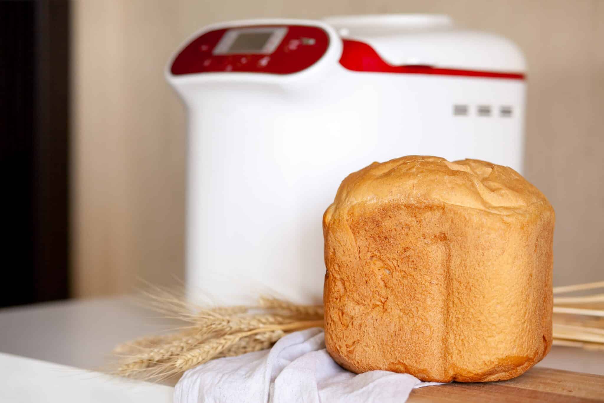 Do Bread Makers Save You Money? – My Budget Recipes