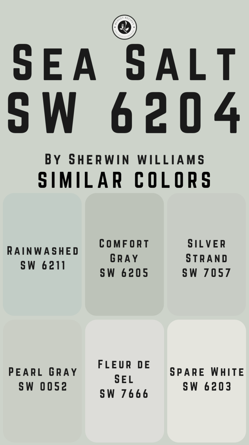 Sea Salt by Sherwin Williams SW 6204: A Refreshing Coastal Hue for Your Home – My Budget Recipes
