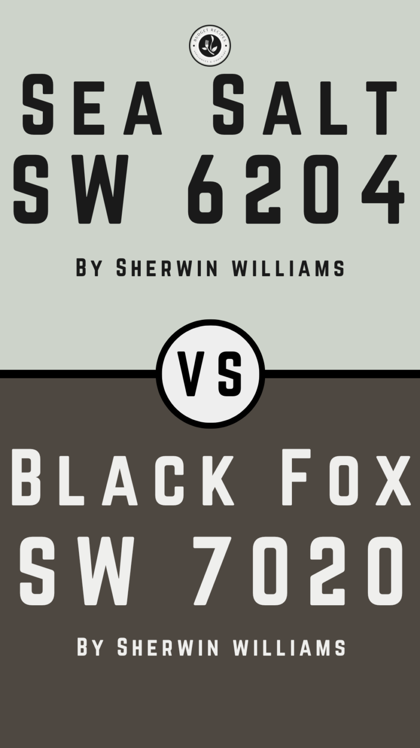 Sea Salt by Sherwin Williams SW 6204: A Refreshing Coastal Hue for Your ...