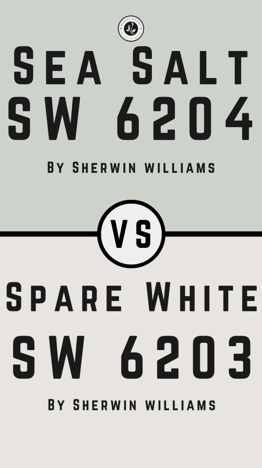 Sea Salt by Sherwin Williams SW 6204: A Refreshing Coastal Hue for Your ...