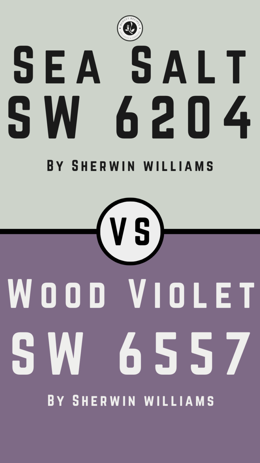 Sea Salt by Sherwin Williams SW 6204: A Refreshing Coastal Hue for Your ...
