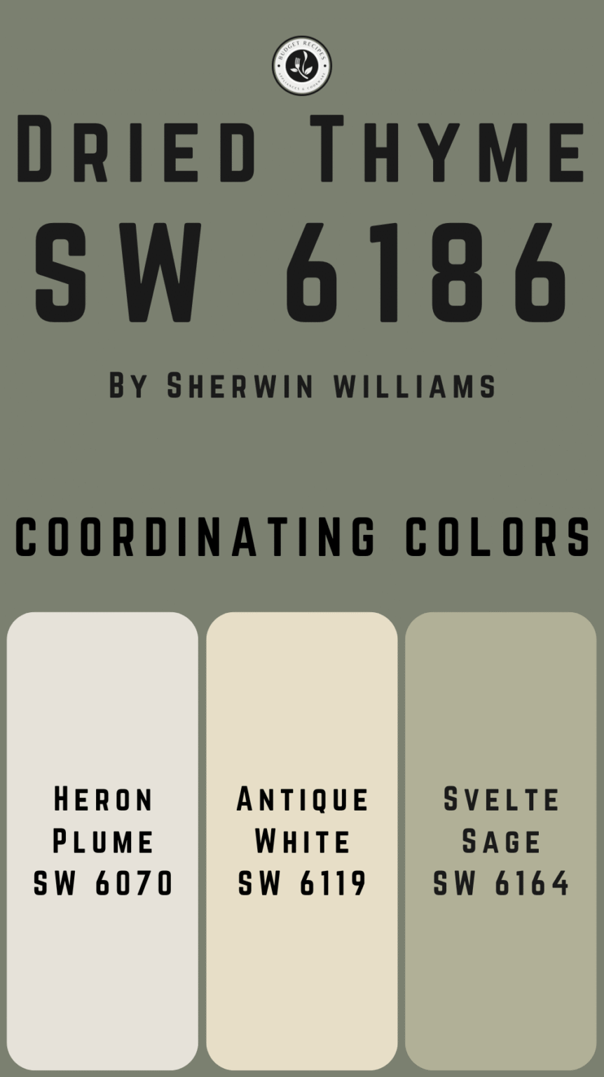 Dried Thyme by Sherwin Williams SW 6186: A Versatile Green for Cozy ...