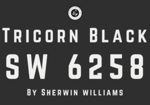 Tricorn Black by Sherwin Williams SW 6258: The Perfect Bold Black Paint ...