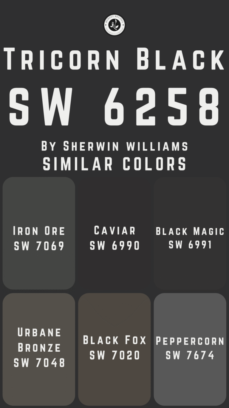 Tricorn Black by Sherwin Williams SW 6258: The Perfect Bold Black Paint ...