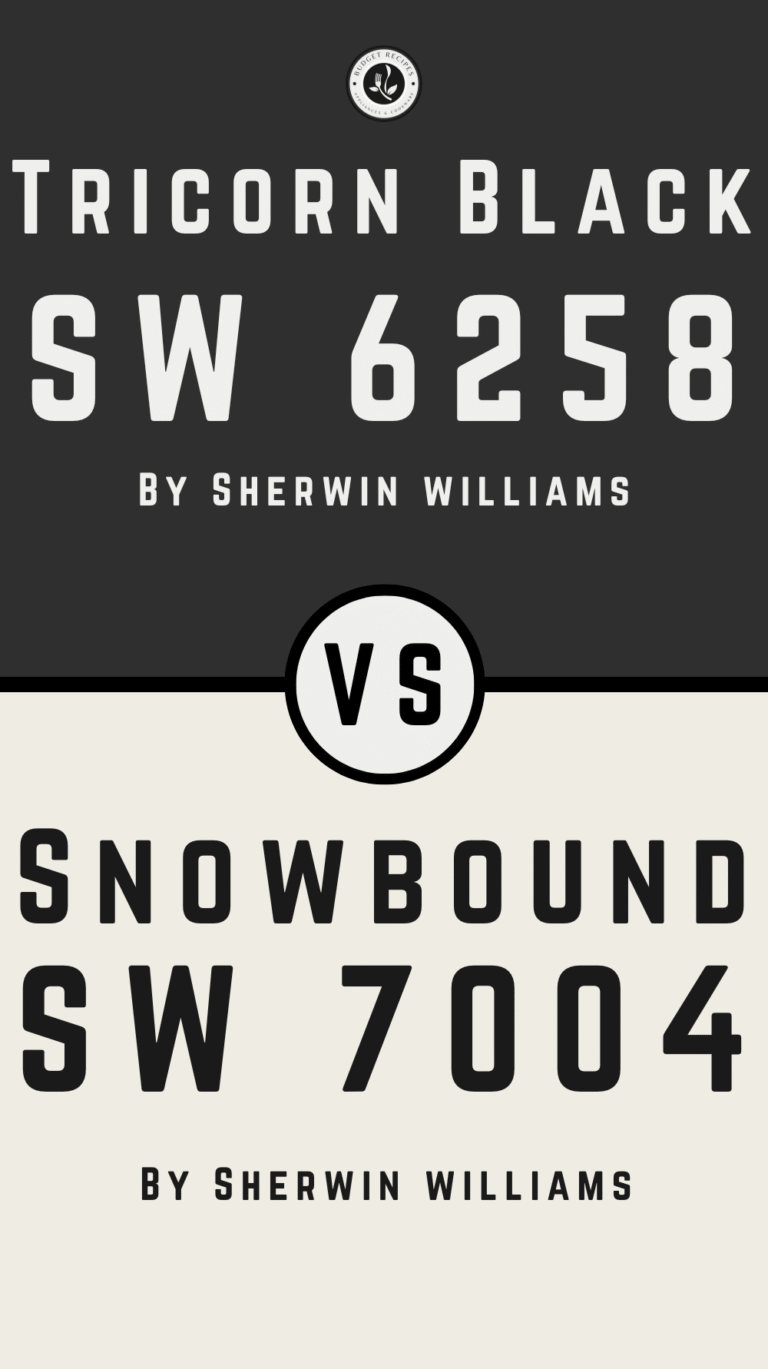 Tricorn Black by Sherwin Williams SW 6258: The Perfect Bold Black Paint ...