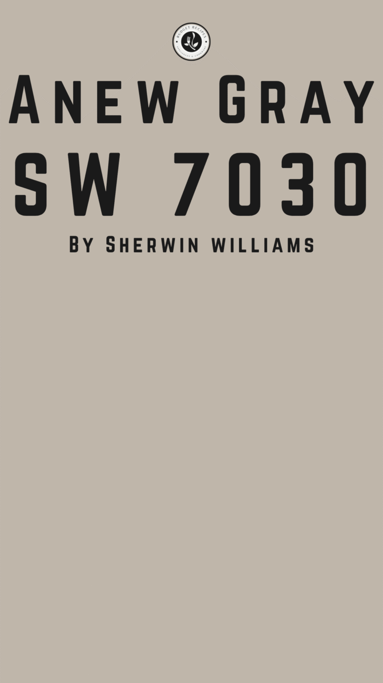 Anew Gray by Sherwin Williams SW 7030: A Complete Color Guide – My ...