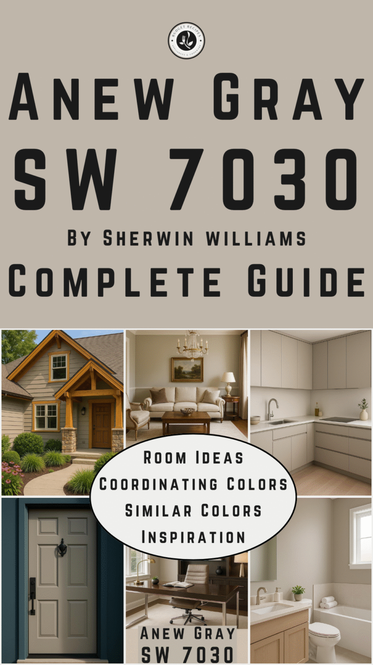 Anew Gray by Sherwin Williams SW 7030: A Complete Color Guide – My ...