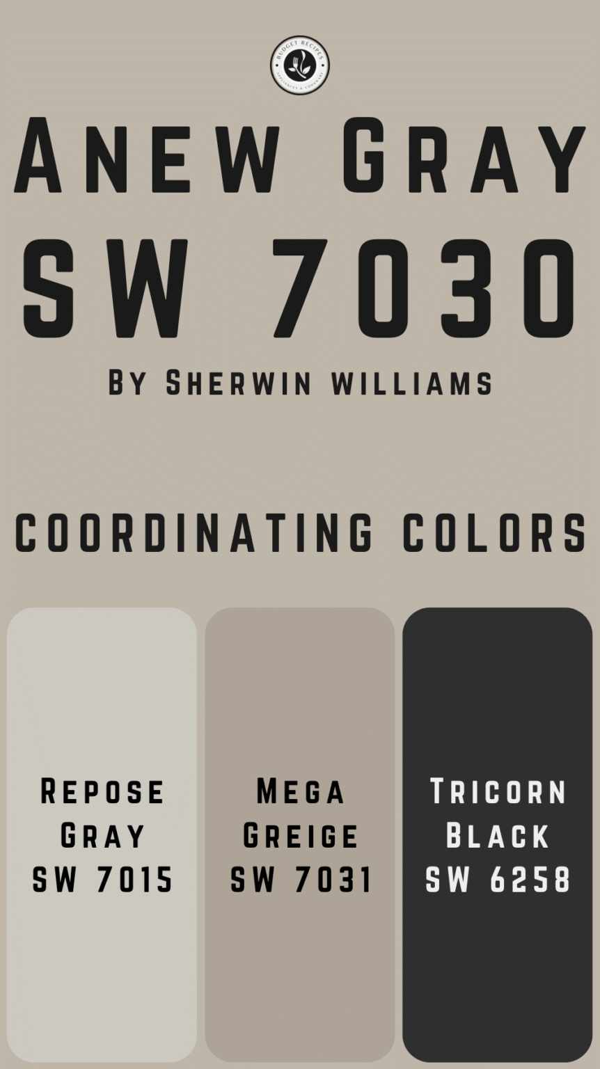 Anew Gray by Sherwin Williams SW 7030: A Complete Color Guide – My ...