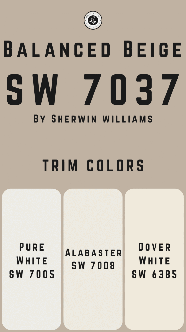 Balanced Beige by Sherwin Williams SW 7037: Color Guide & Tips – My ...