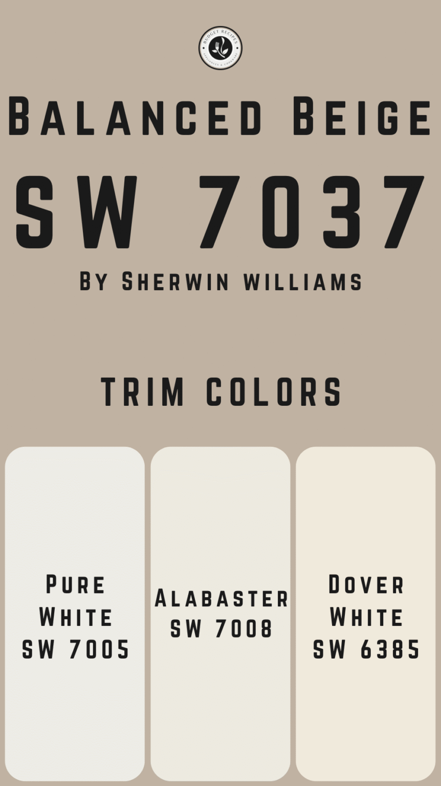 Balanced Beige by Sherwin Williams SW 7037: Color Guide & Tips – My ...