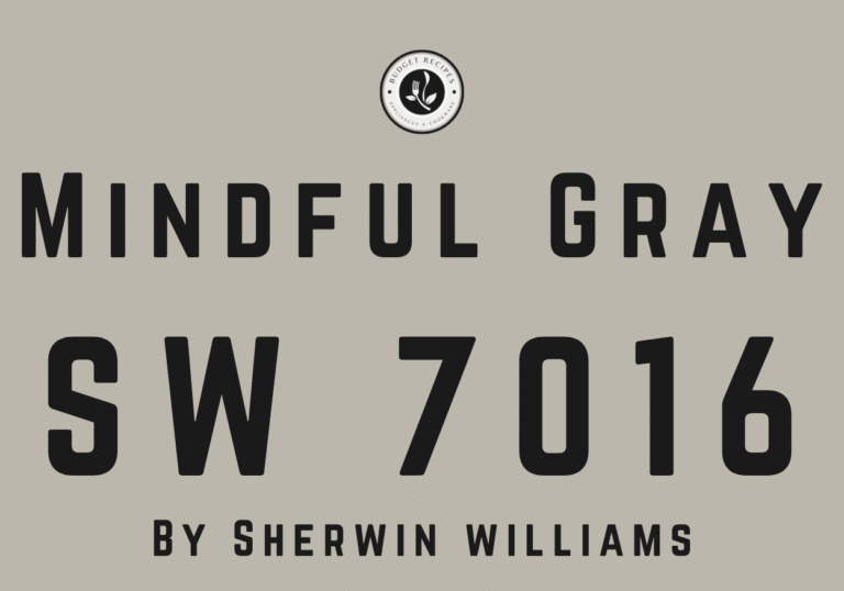 Mindful Gray by Sherwin Williams SW 7016: Full Color Guide – My Budget ...