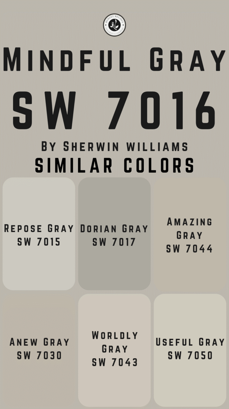 Mindful Gray by Sherwin Williams SW 7016: Full Color Guide – My Budget ...