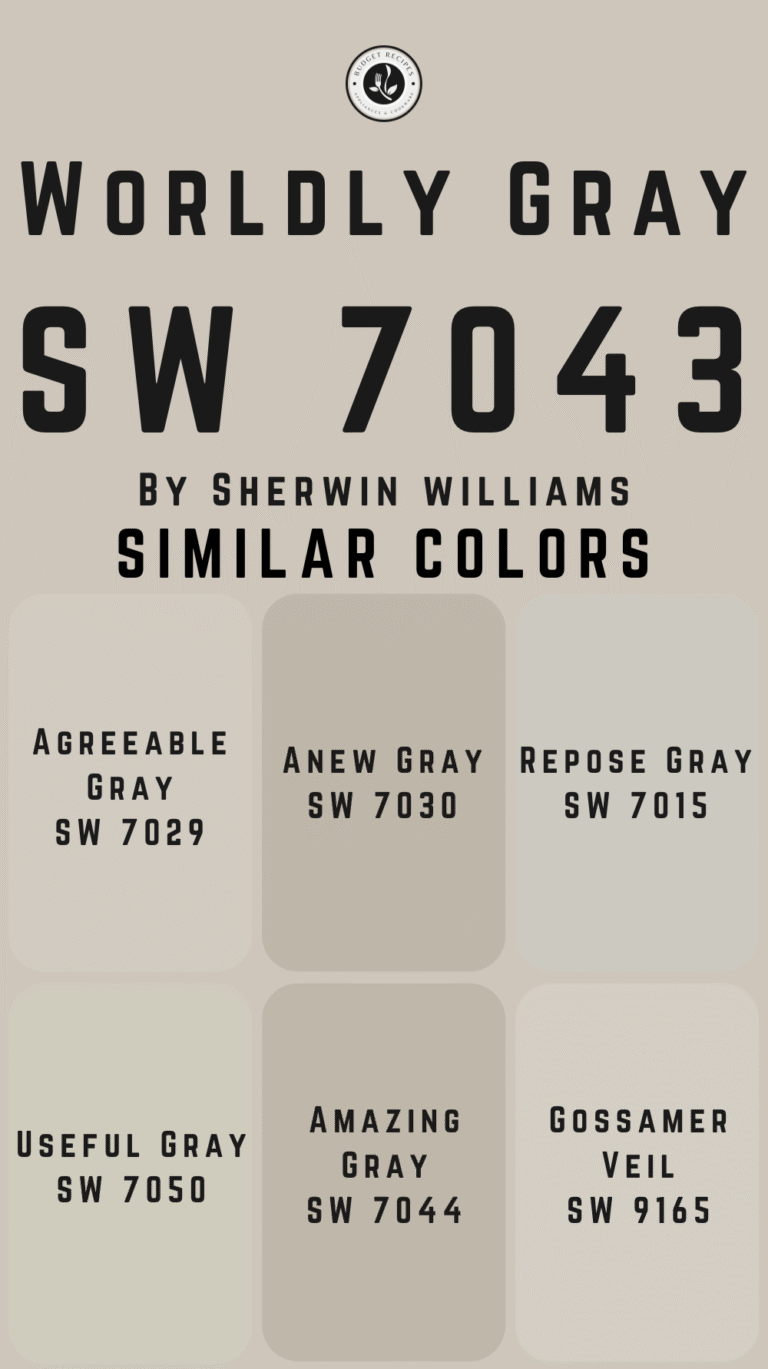 Worldly Gray by Sherwin Williams SW 7043: Friendly Color Guide – My Budget Recipes
