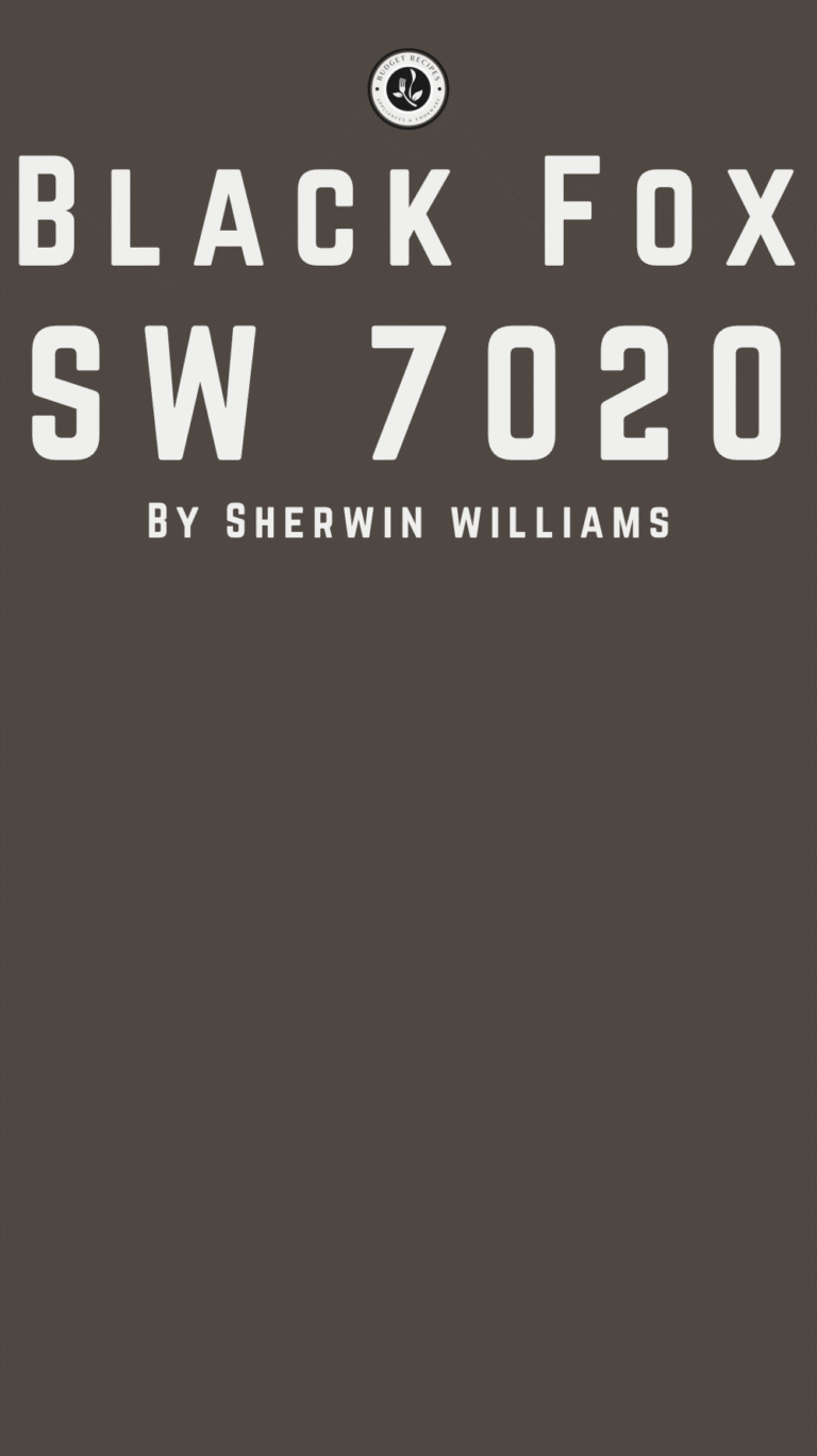 Black Fox by Sherwin Williams SW 7020: Color, Undertones & More – My ...