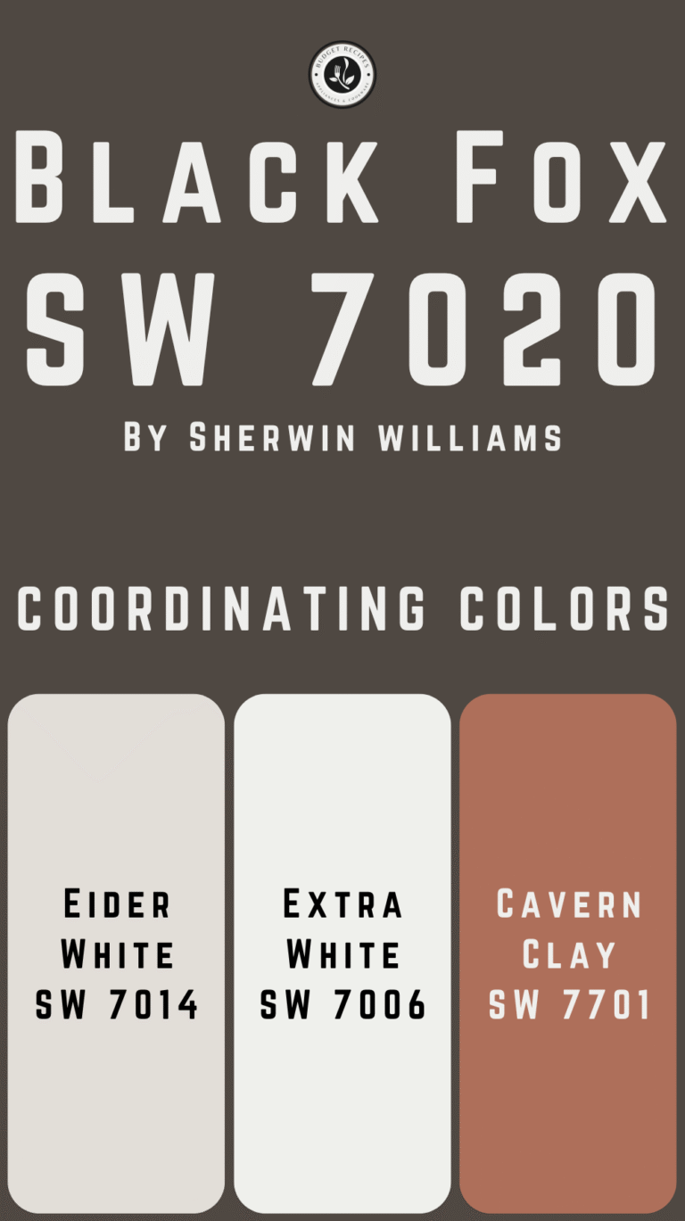 Black Fox by Sherwin Williams SW 7020: Color, Undertones & More – My ...