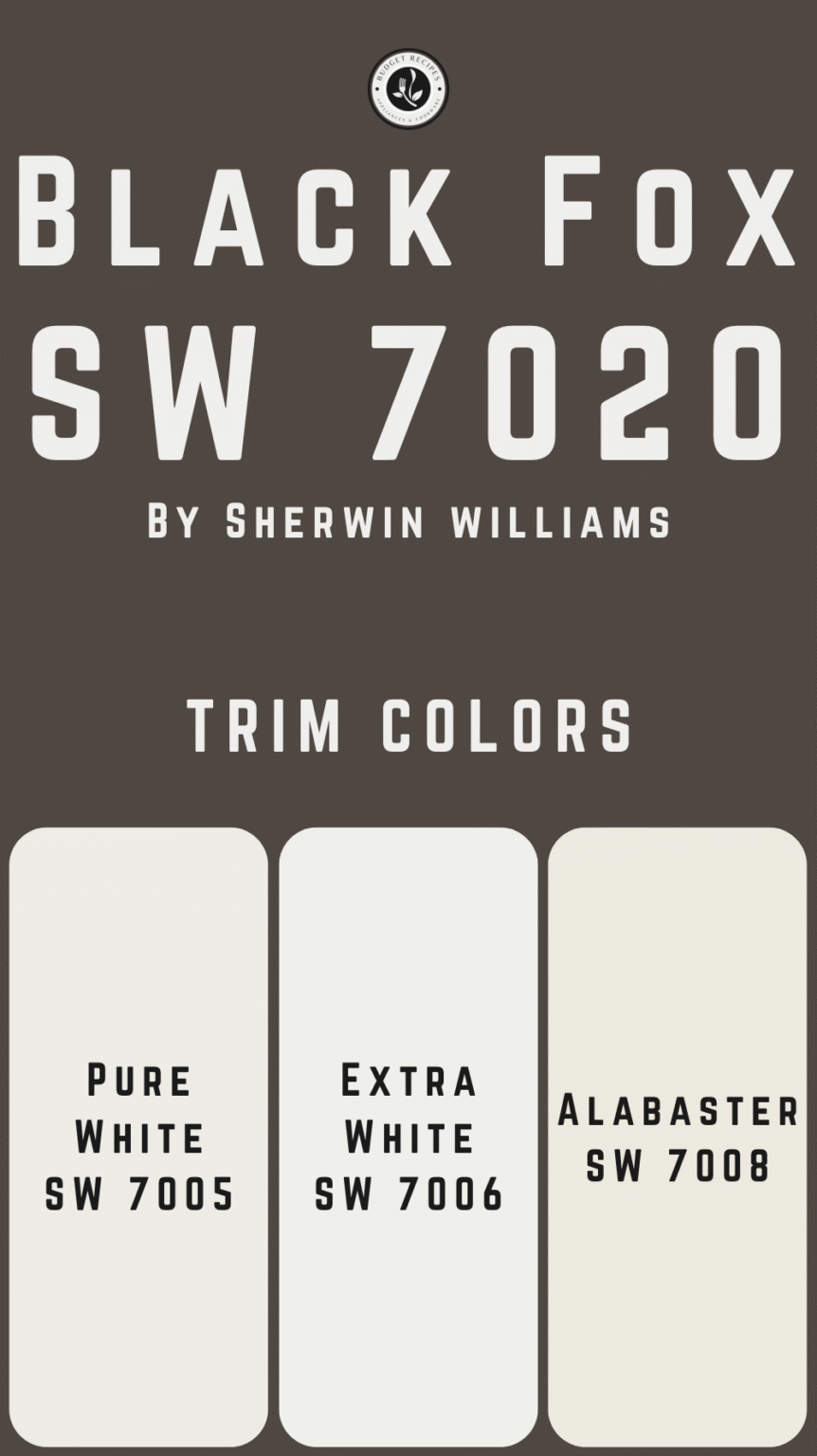 Black Fox by Sherwin Williams SW 7020: Color, Undertones & More – My ...