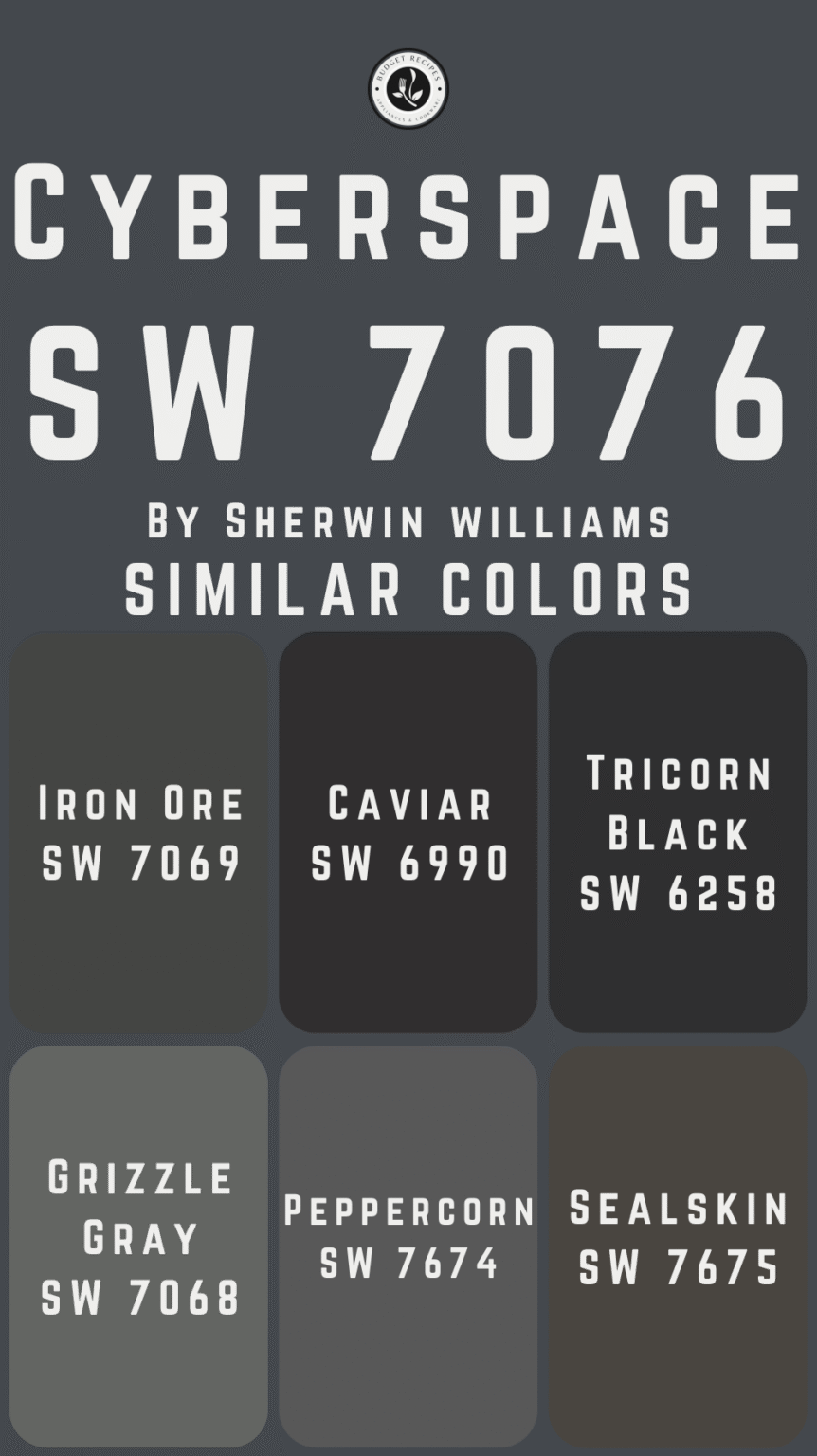 Cyberspace by Sherwin Williams SW 7076: Color Guide & Tips – My Budget ...