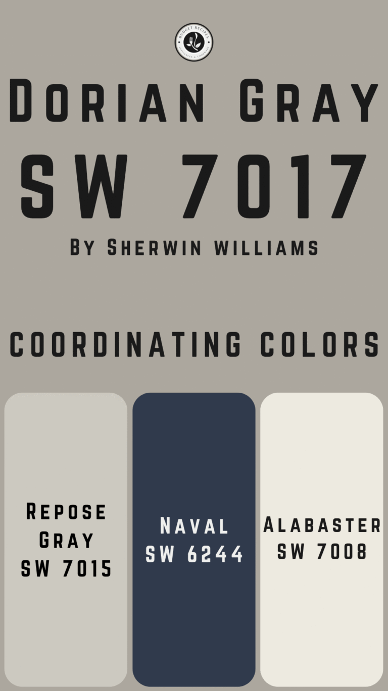 Dorian Gray by Sherwin Williams SW 7017: Color Guide & Coordinating ...