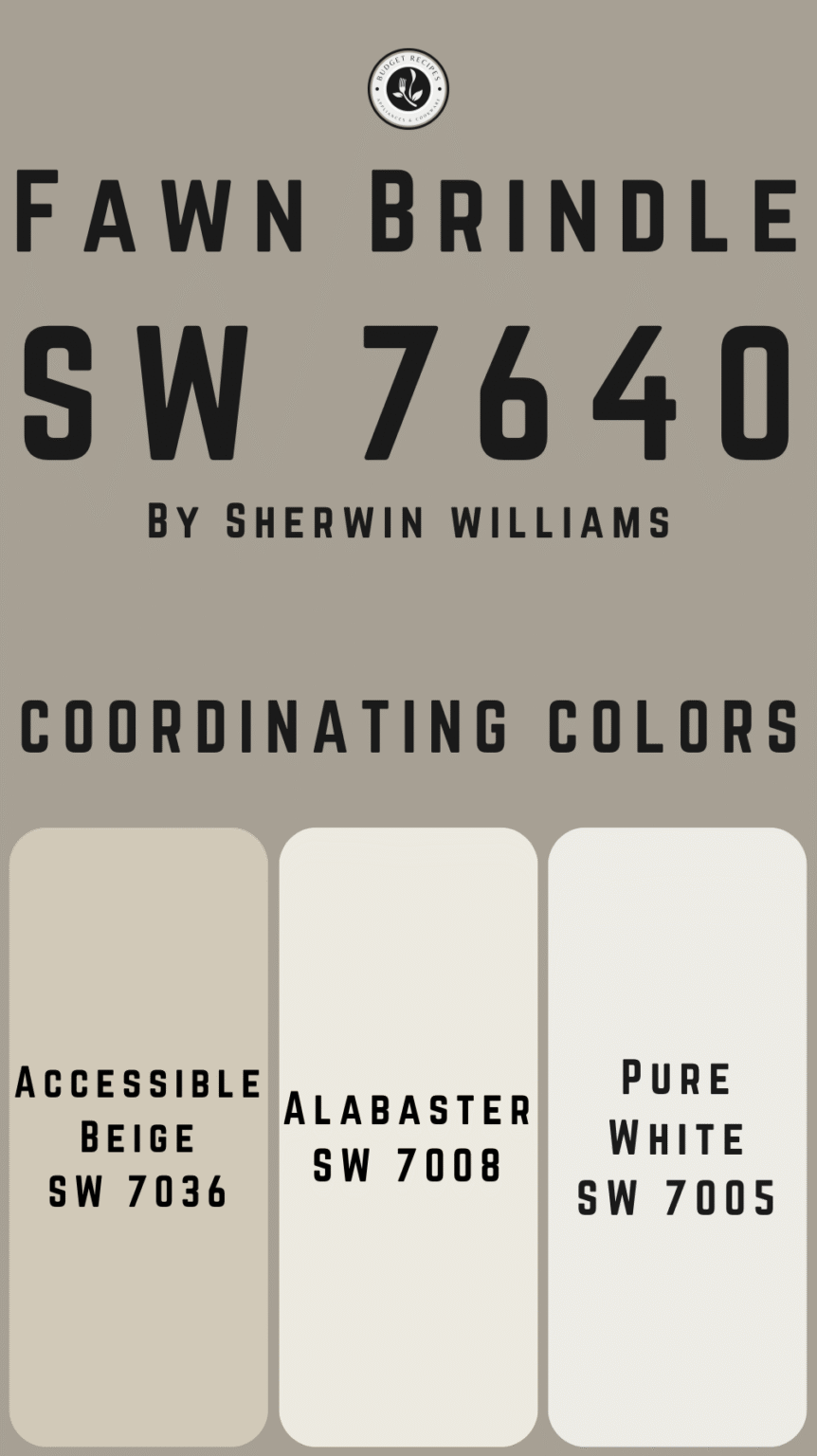 Fawn Brindle by Sherwin Williams SW 7640: Color Guide & Tips – My ...
