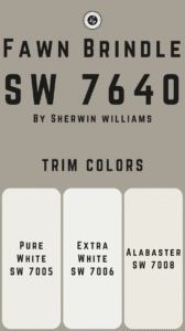 Fawn Brindle by Sherwin Williams SW 7640: Color Guide & Tips – My ...