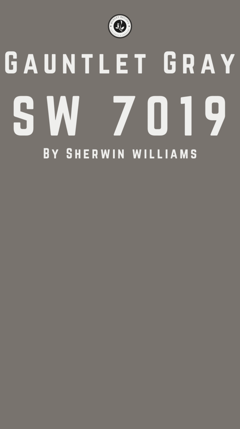 Gauntlet Gray by Sherwin Williams SW 7019: Color Guide & Inspiration ...