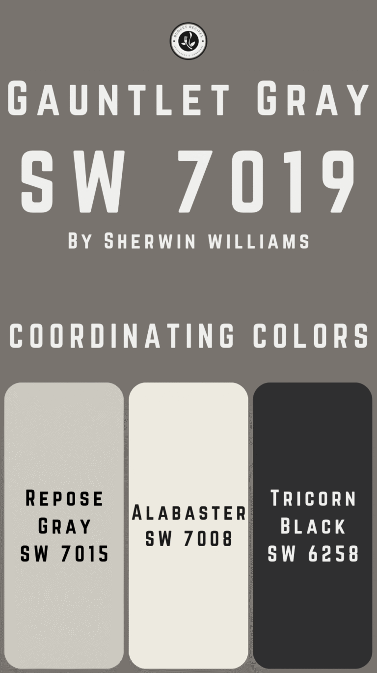 Gauntlet Gray by Sherwin Williams SW 7019: Color Guide & Inspiration ...