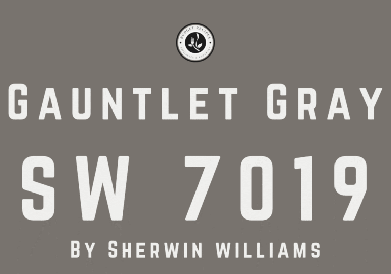 Gauntlet Gray by Sherwin Williams SW 7019: Color Guide & Inspiration ...