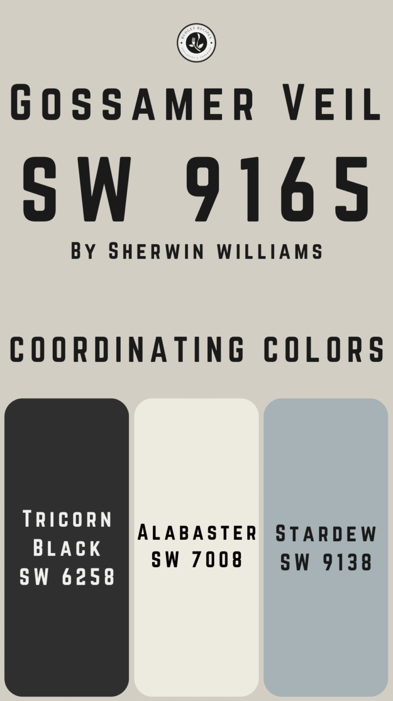 Gossamer Veil by Sherwin Williams SW 9165: Complete Color Guide – My ...