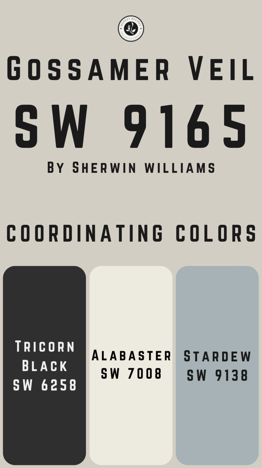 Gossamer Veil by Sherwin Williams SW 9165: Complete Color Guide – My ...