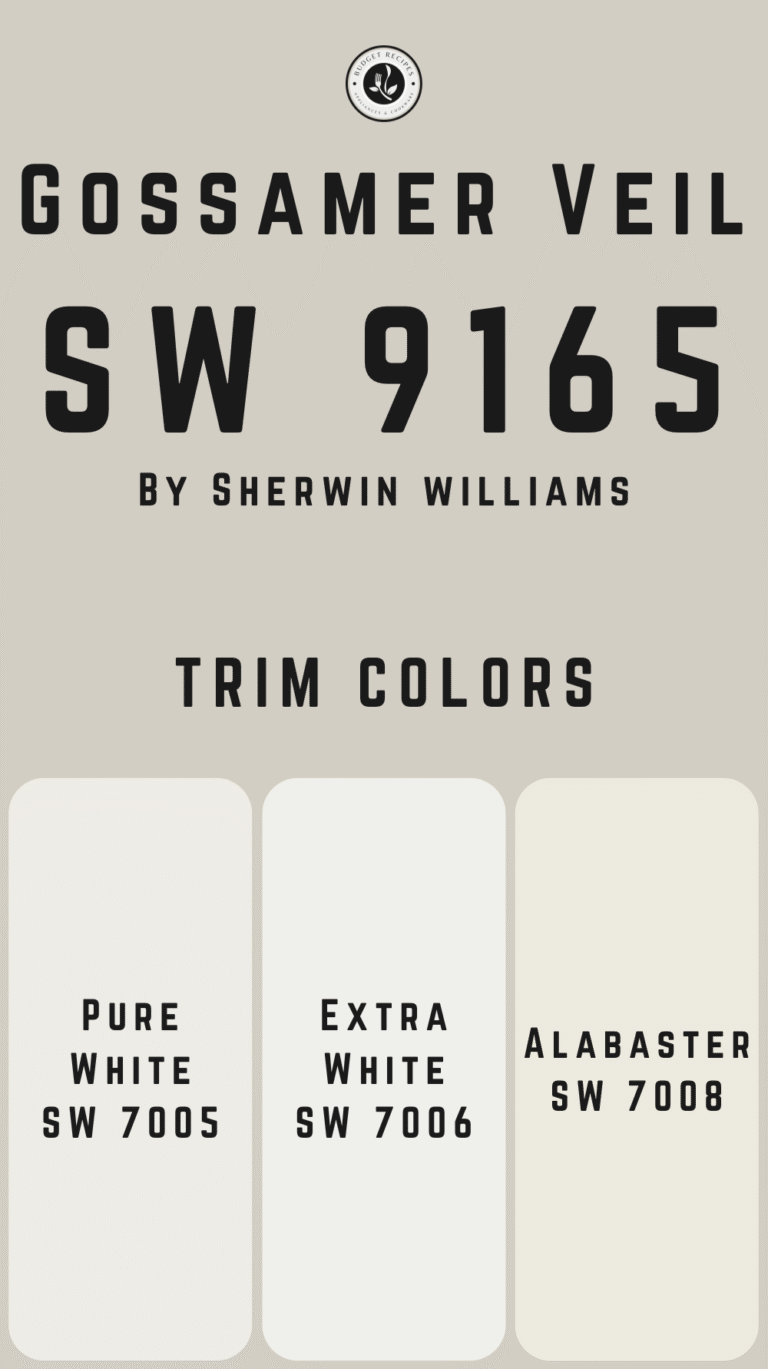 Gossamer Veil by Sherwin Williams SW 9165: Complete Color Guide – My ...
