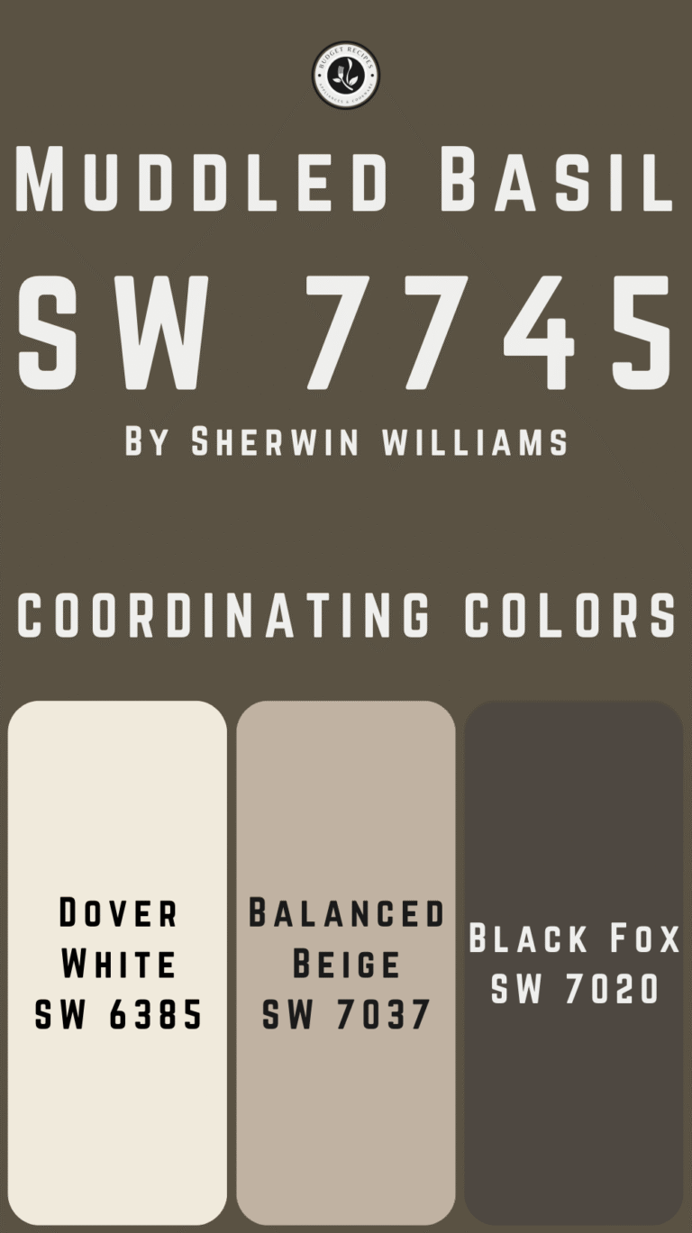 Muddled Basil by Sherwin Williams SW 7745: Complete Color Guide – My ...