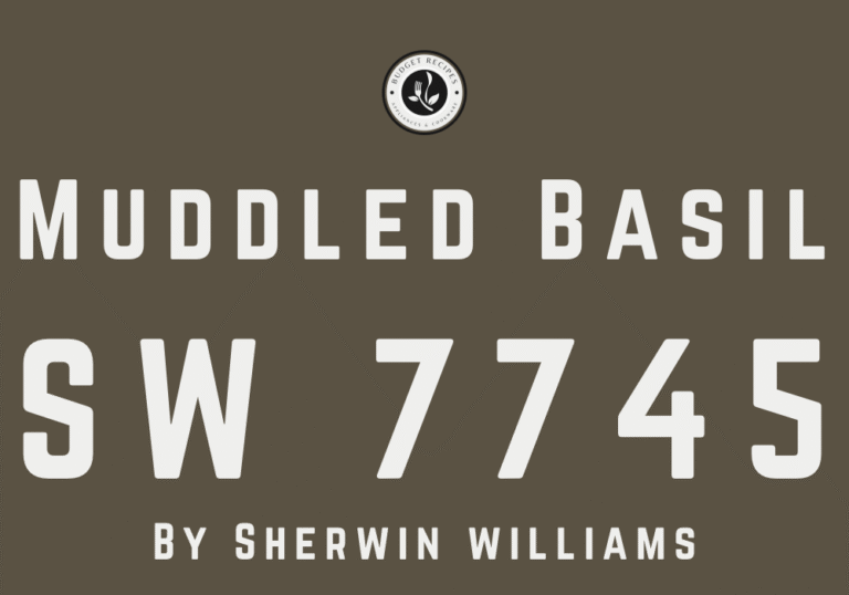 Muddled Basil by Sherwin Williams SW 7745: Complete Color Guide – My ...