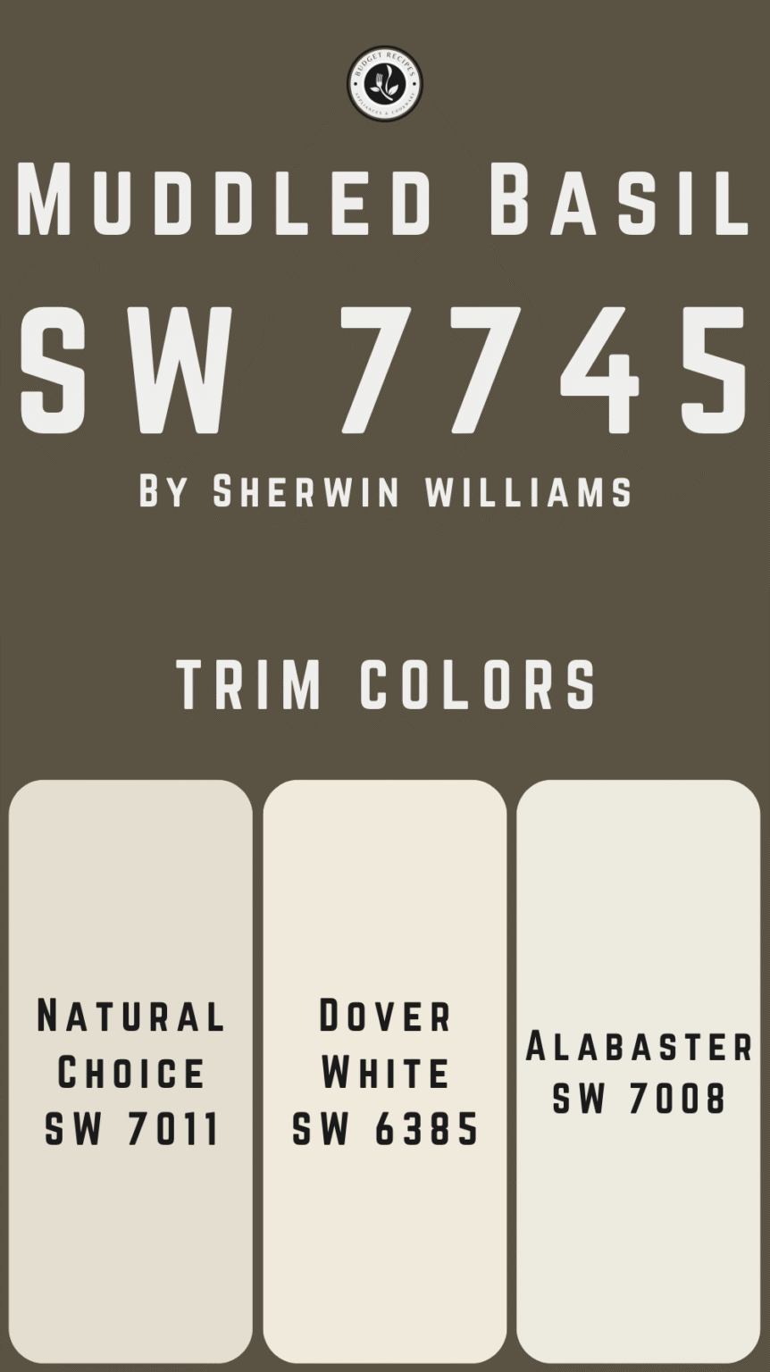 Muddled Basil by Sherwin Williams SW 7745: Complete Color Guide – My ...