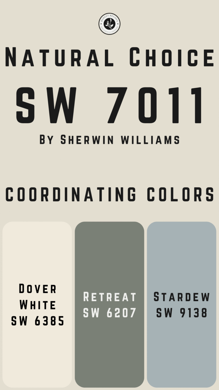 Natural Choice by Sherwin Williams SW 7011: Complete Color Guide – My ...