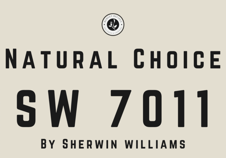 Natural Choice by Sherwin Williams SW 7011: Complete Color Guide – My ...