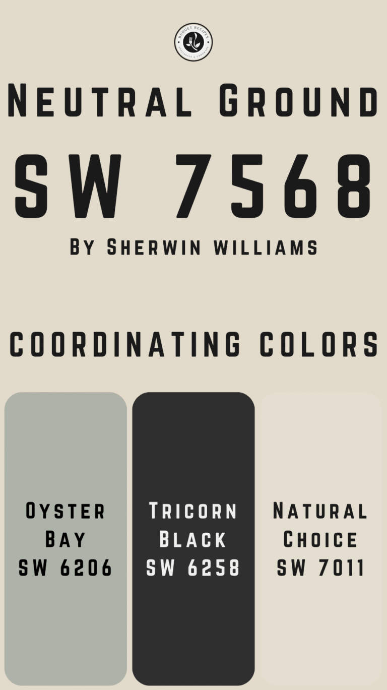 Neutral Ground by Sherwin Williams SW 7568: Color Guide – My Budget Recipes