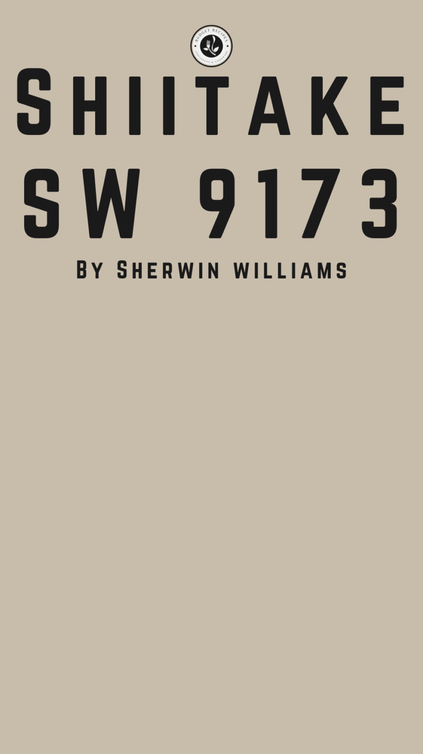 Shiitake by Sherwin Williams SW 9173: Paint Color Guide – My Budget Recipes