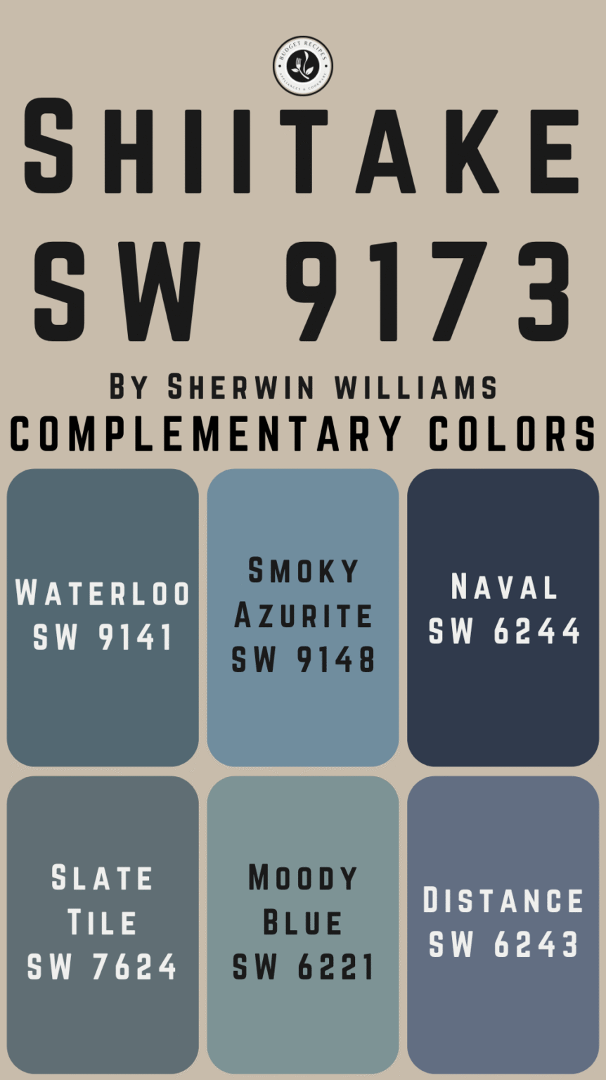 Shiitake by Sherwin Williams SW 9173: Paint Color Guide – My Budget Recipes