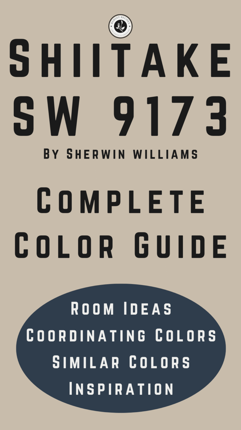 Shiitake by Sherwin Williams SW 9173: Paint Color Guide – My Budget Recipes