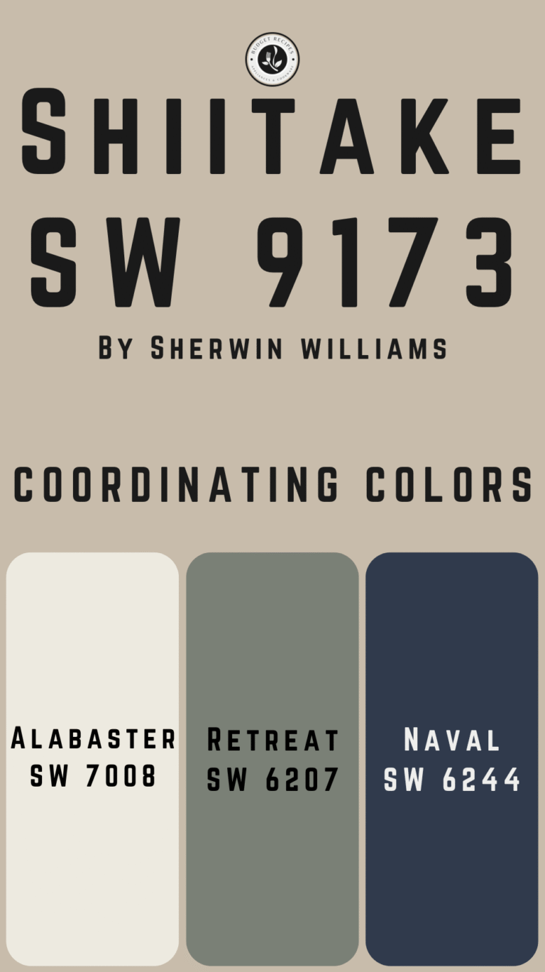 Shiitake by Sherwin Williams SW 9173: Paint Color Guide – My Budget Recipes