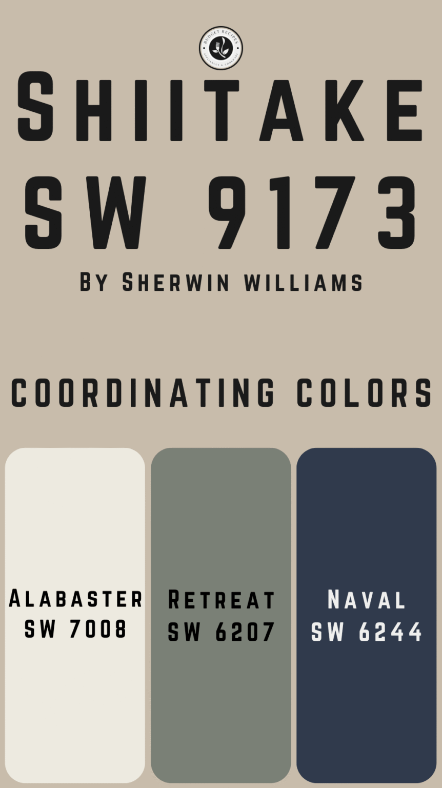 Shiitake by Sherwin Williams SW 9173: Paint Color Guide – My Budget Recipes