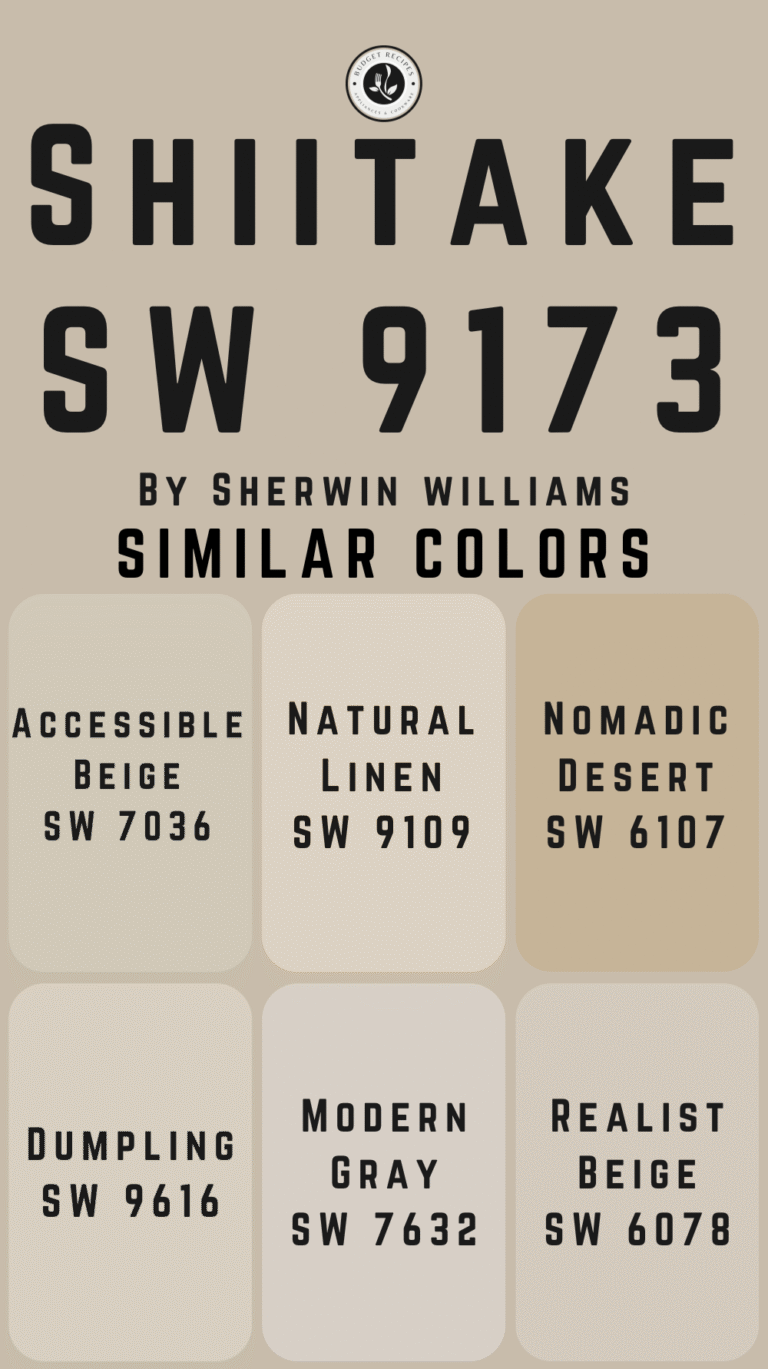 Shiitake by Sherwin Williams SW 9173: Paint Color Guide – My Budget Recipes
