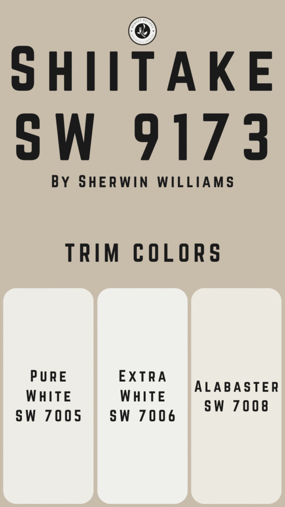 Shiitake by Sherwin Williams SW 9173: Paint Color Guide – My Budget Recipes