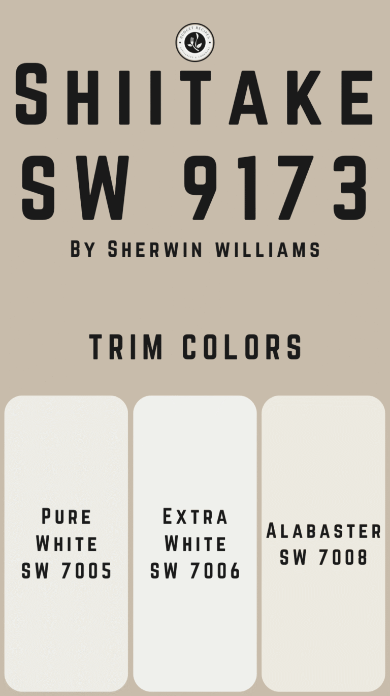 Shiitake by Sherwin Williams SW 9173: Paint Color Guide – My Budget Recipes