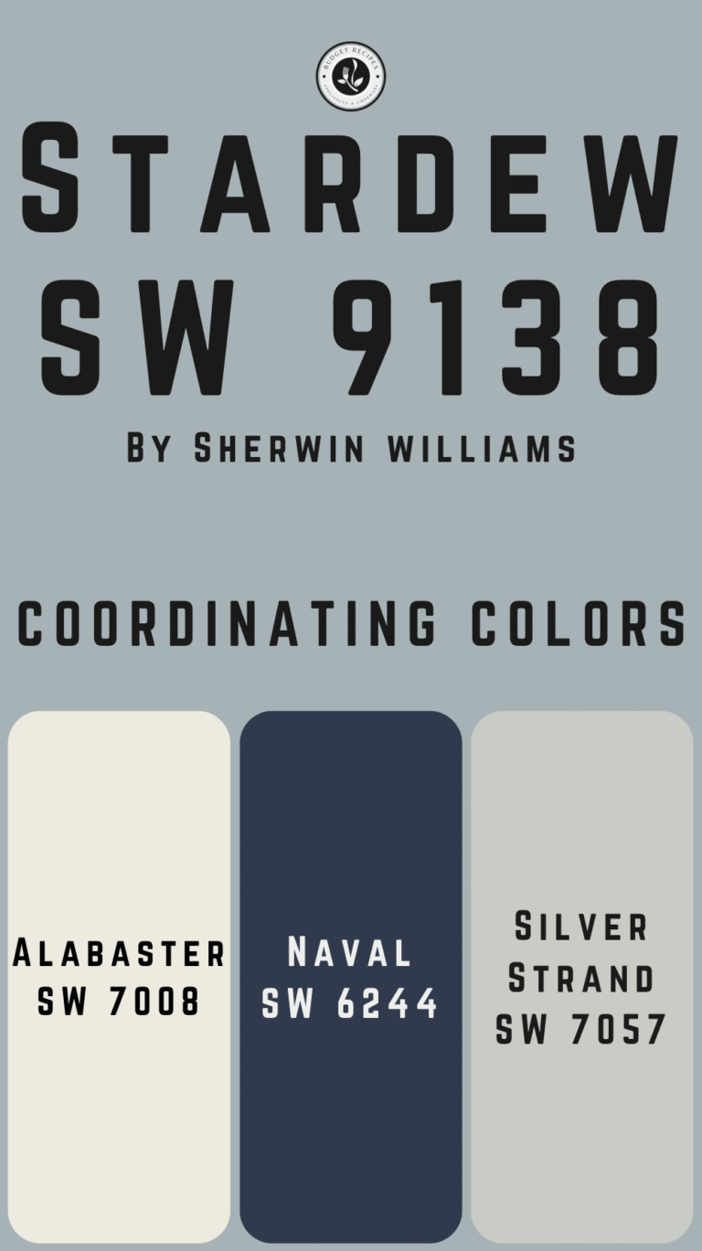 Stardew by Sherwin Williams SW 9138: Complete Paint Color Guide – My ...