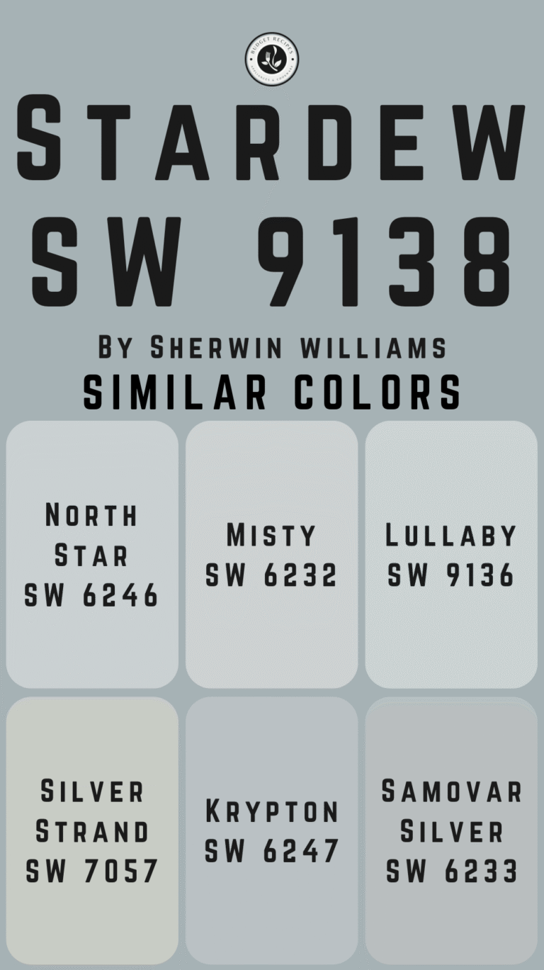 Stardew by Sherwin Williams SW 9138: Complete Paint Color Guide – My ...