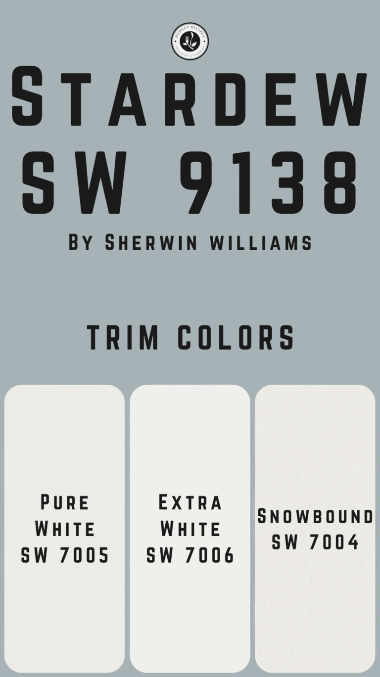 Stardew by Sherwin Williams SW 9138: Complete Paint Color Guide – My ...