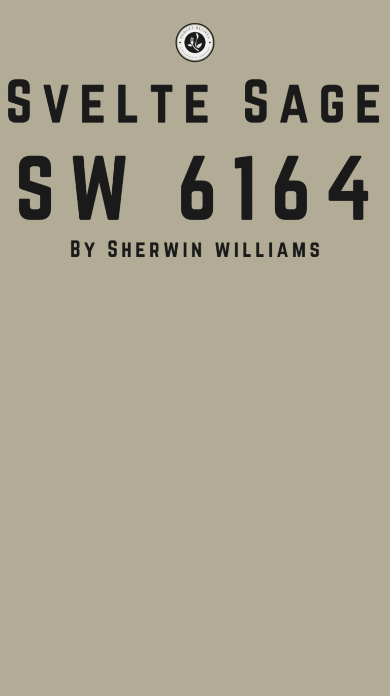 Svelte Sage by Sherwin Williams SW 6164: Color Guide and Tips – My ...