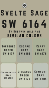 Svelte Sage by Sherwin Williams SW 6164: Color Guide and Tips – My ...